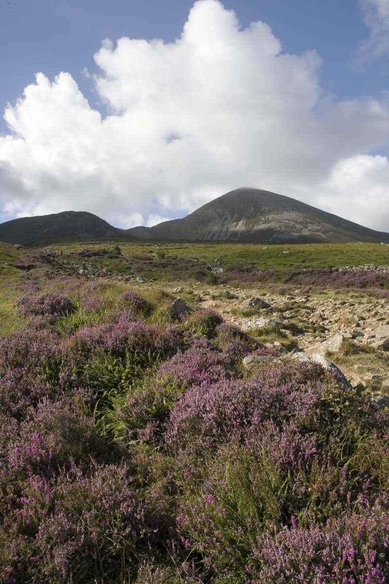Ultimate Guide To Climbing Croagh Patrick (2025)