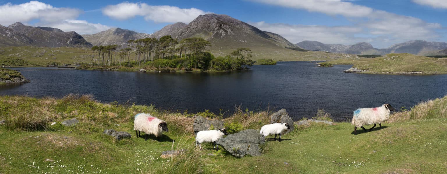 Connemara National Park: Map, Things To Do, Walks & Tours