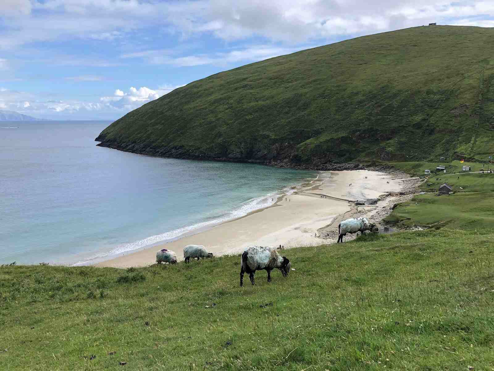 County Mayo: Attractions, Activities & Accommodation