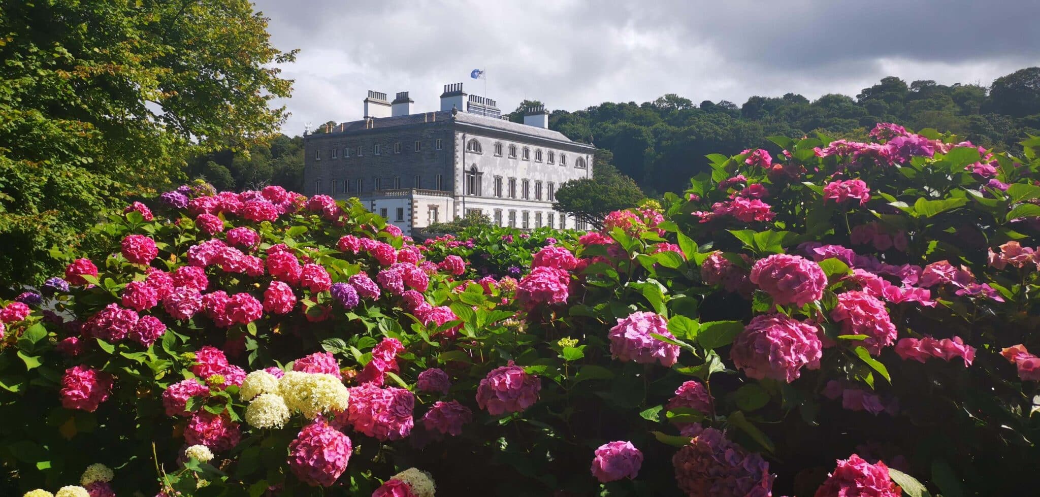 Best Things to See & Do, County Mayo (Ultimate 2024 Guide)